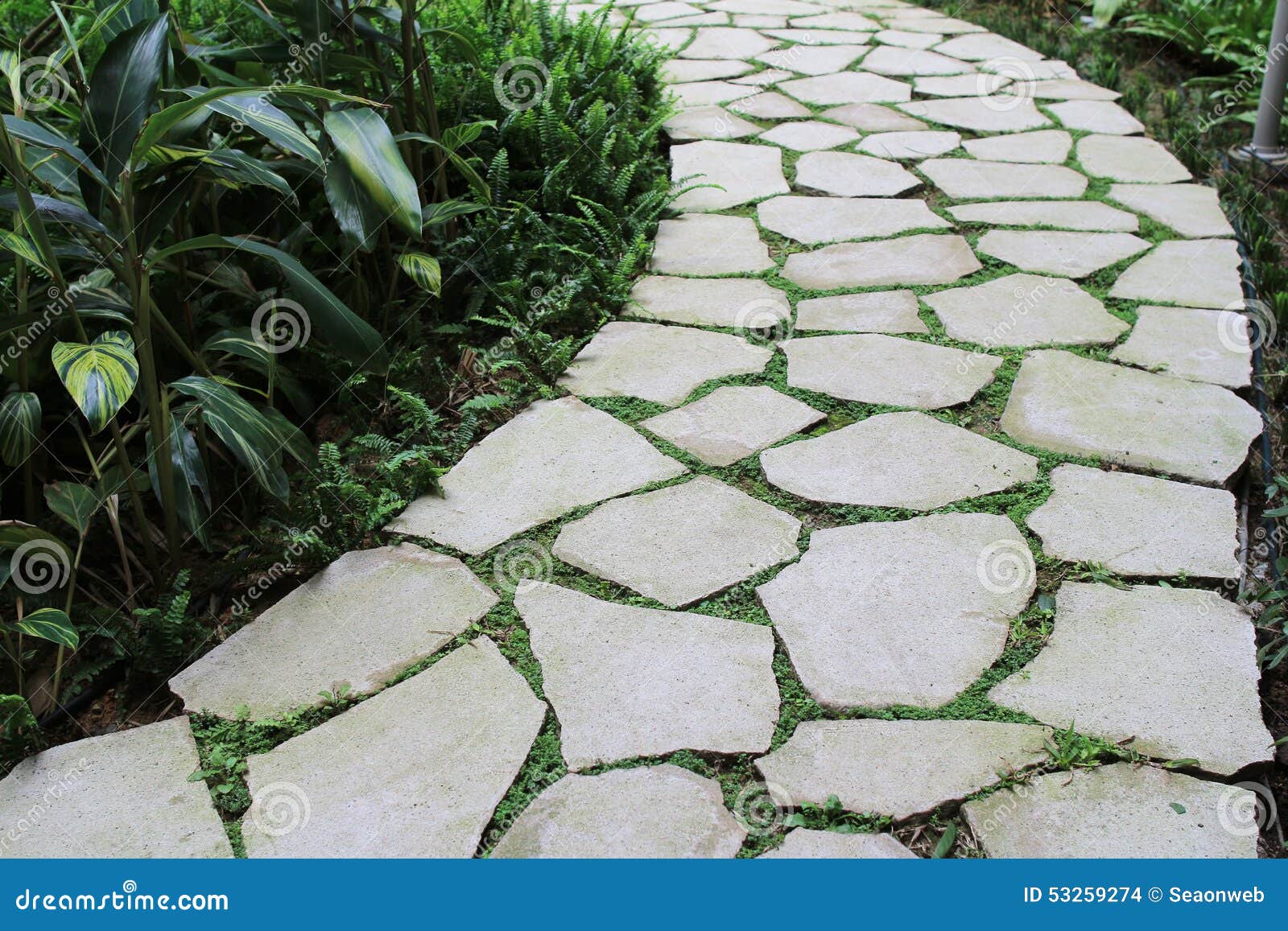 Stone road at the garden stock photo. Image of outdoor - 53259274