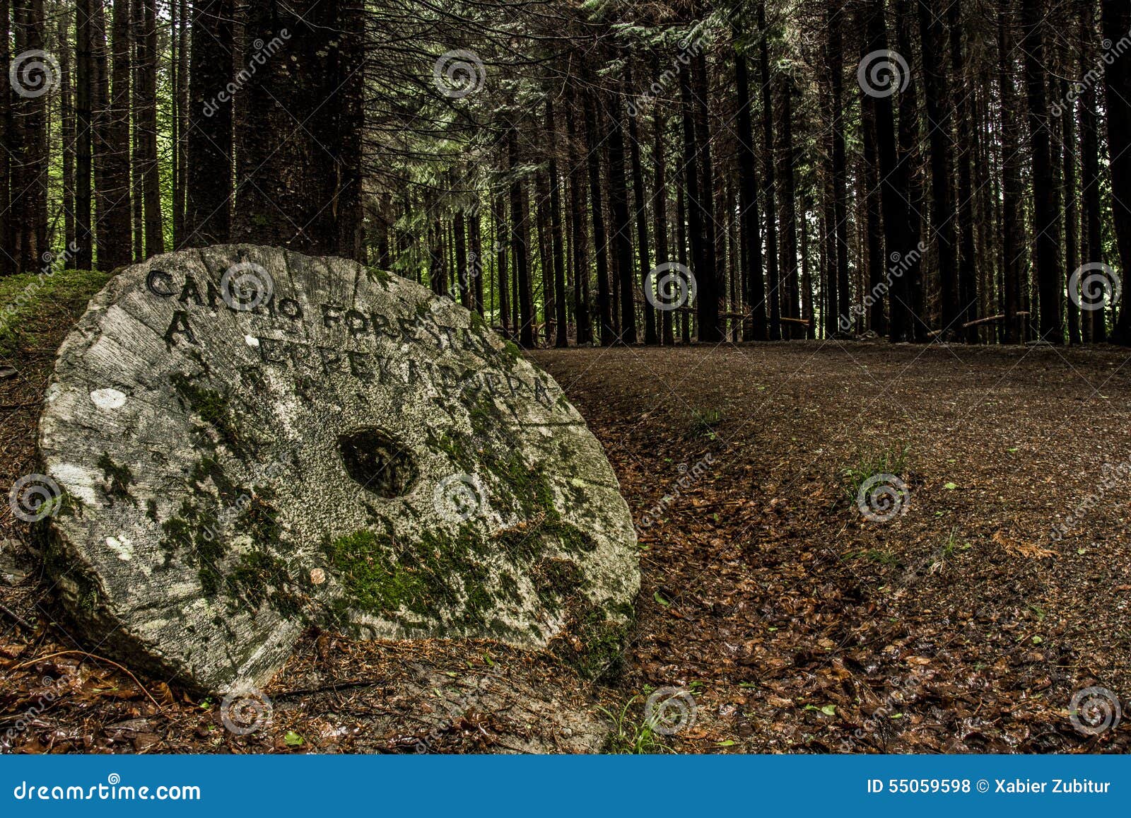 Stone in the road stock photo. Image of marking, autumn - 55059598