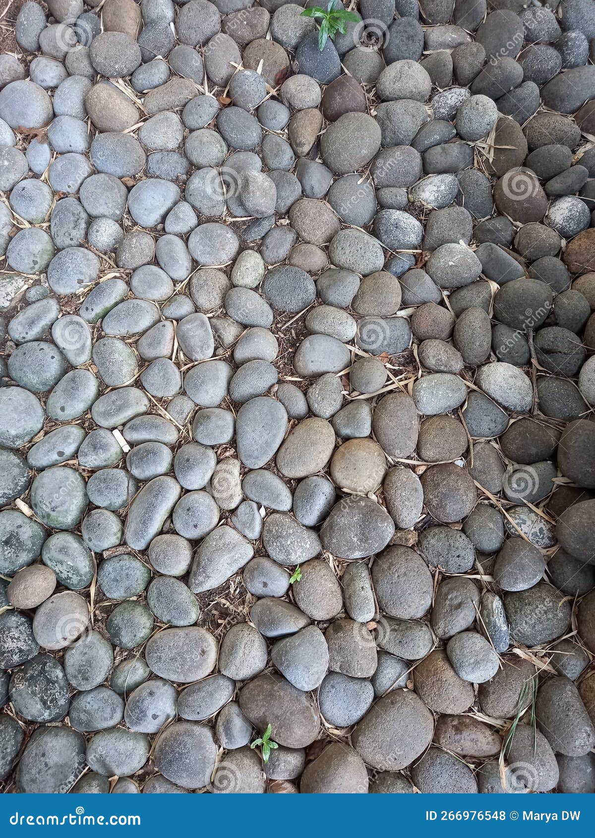 Stone road stock photo. Image of brick, soil, flooring - 266976548