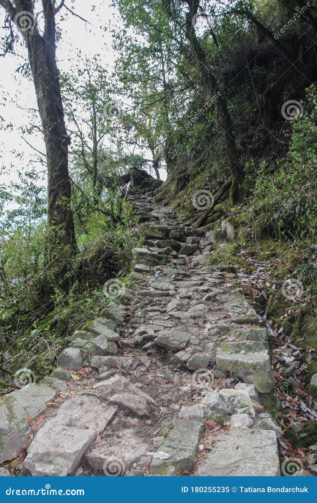 Stone Road Up on the Mountainside. India Stock Image - Image of stair ...