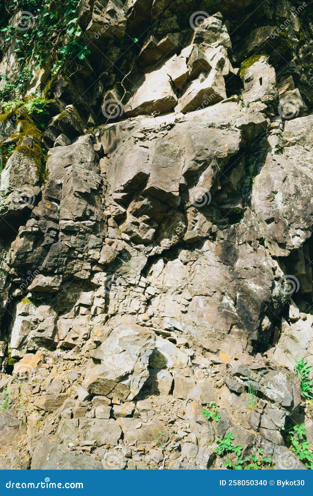 Stone Rock Overgrown with Grass. Mountain Breed. Mountainous Area Stock ...
