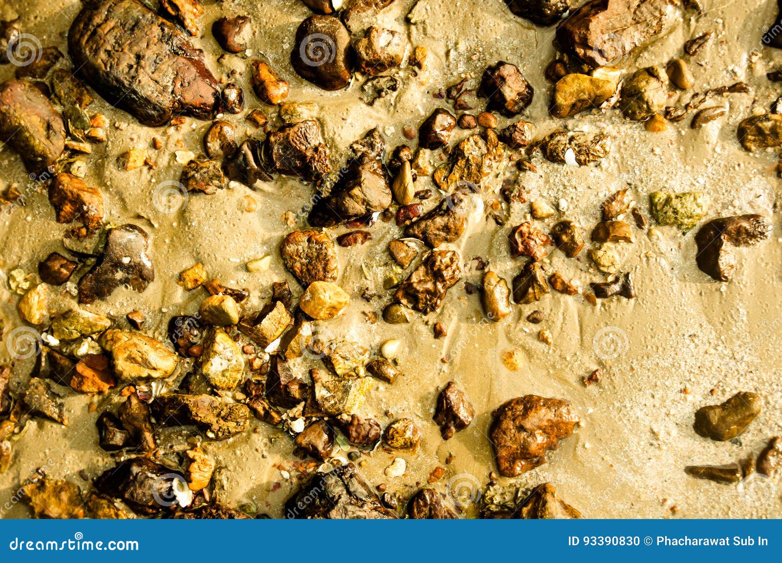 The Stone or Rock on the Beach and Sand in Warm Tone Stock Photo ...