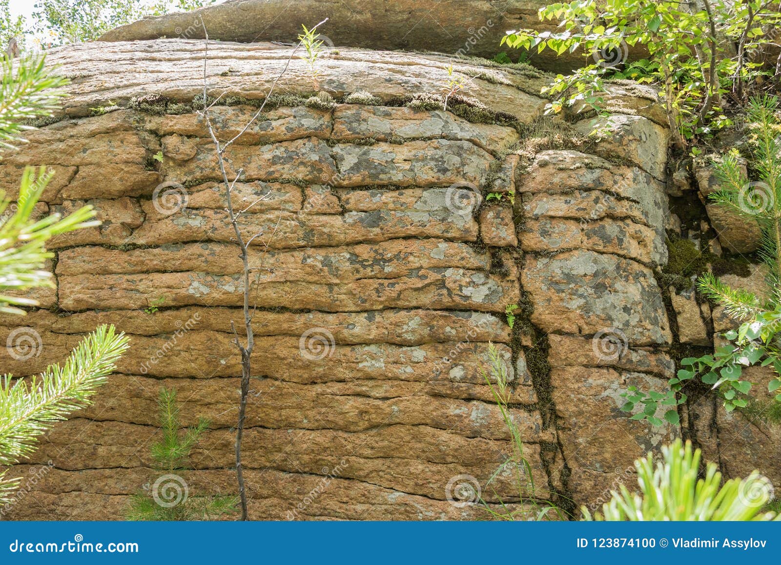 Stone rock in the forest stock photo. Image of stone - 123874100