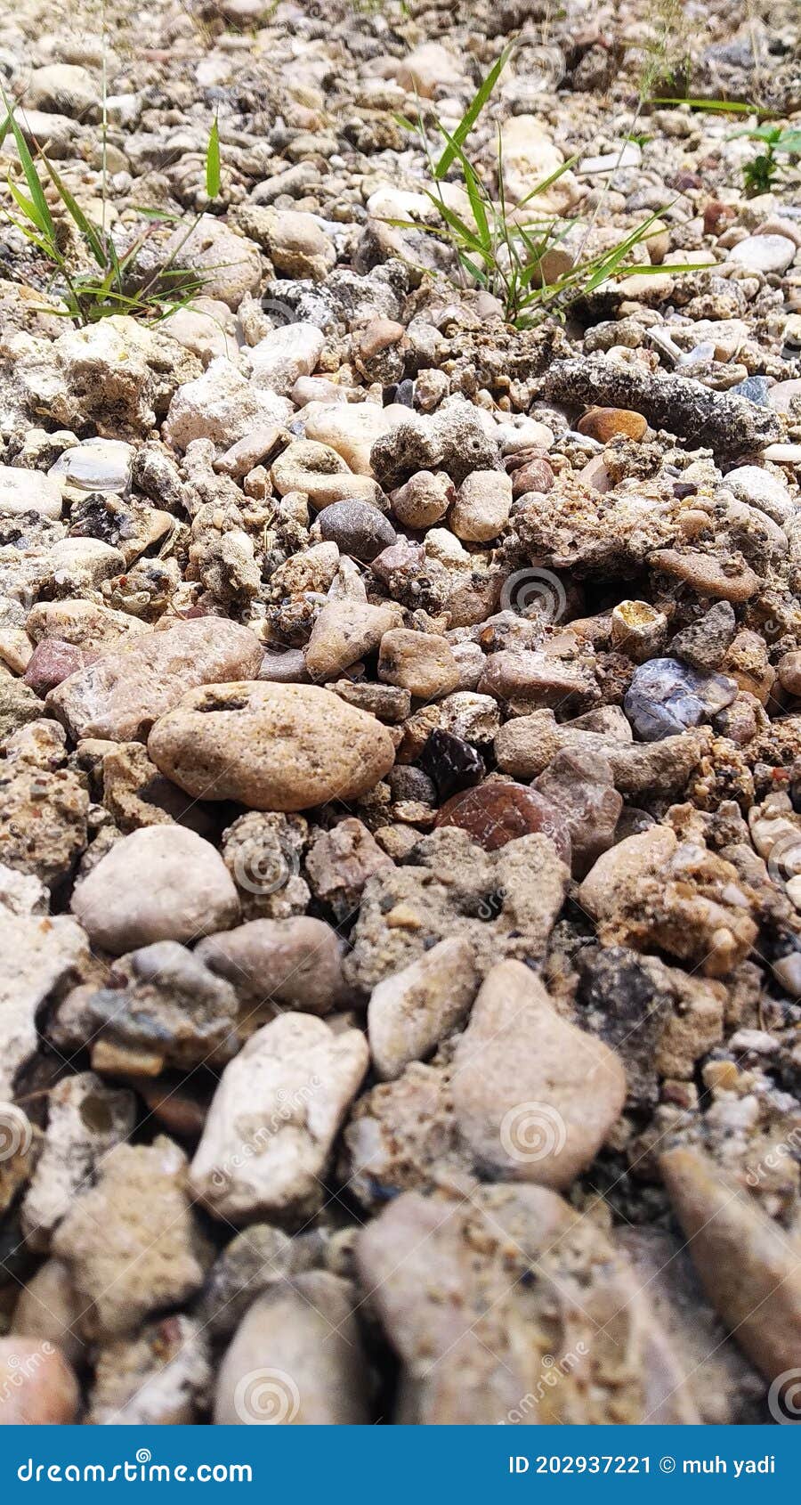 Stone Rock Grass Background Stock Image - Image of stonewall, produce ...