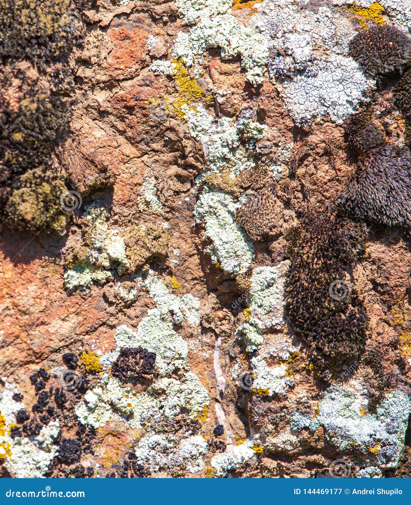 Stone Rock in the Mountains As a Background Stock Image - Image of ...