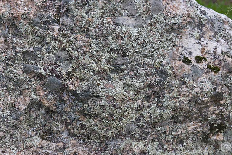 Stone, Rock, Structure, Background, Pattern, Nature, Geology, Be Stock ...