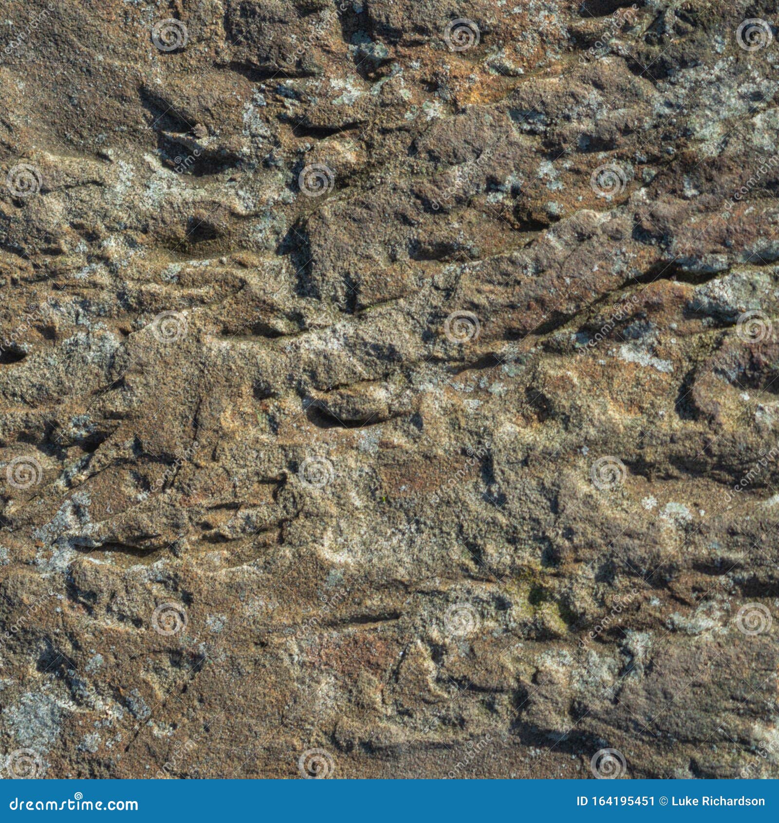 Stone/Rock Surface Texture stock image. Image of detail - 164195451