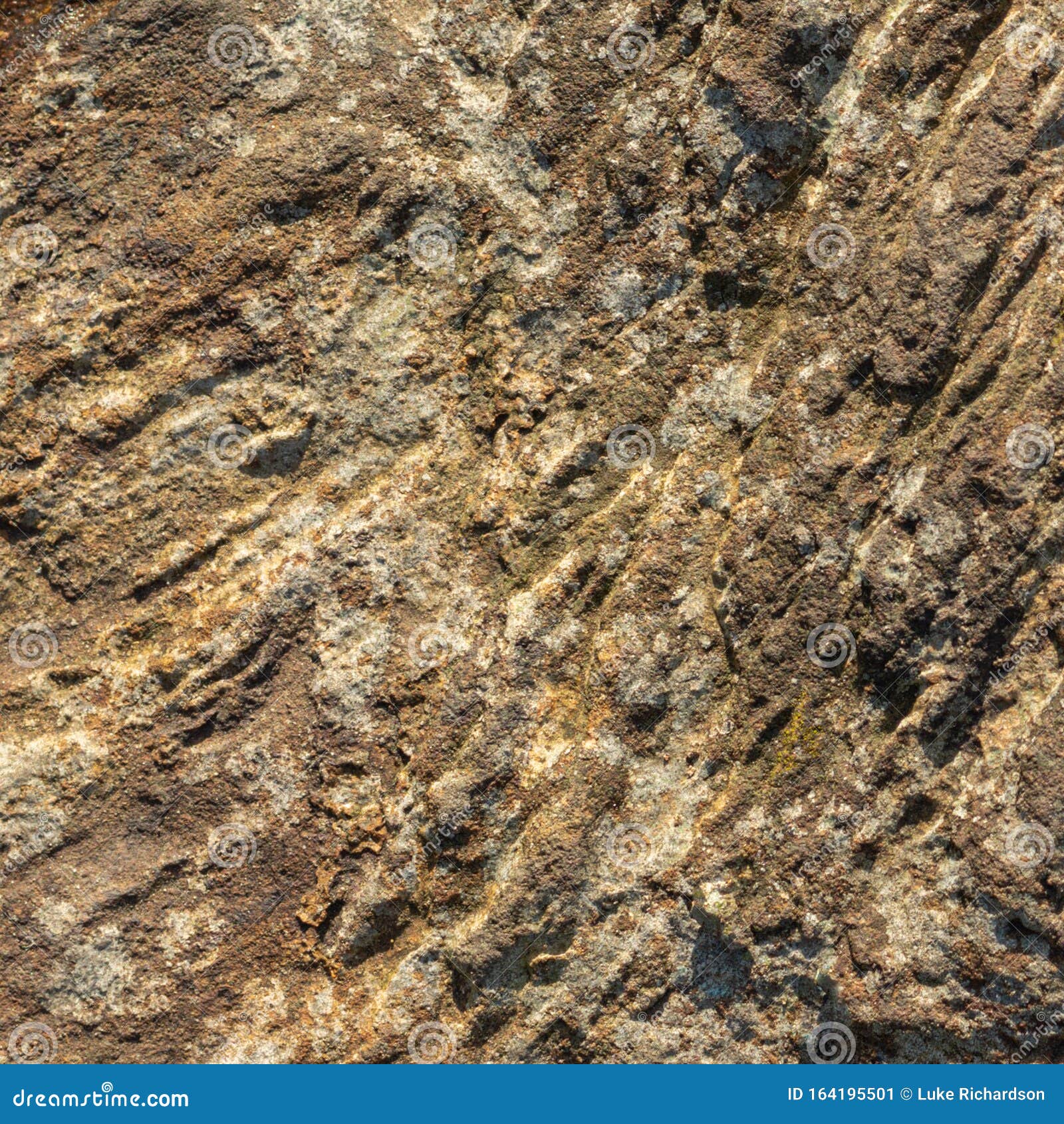 Stone/Rock Surface Texture stock image. Image of rock - 164195501