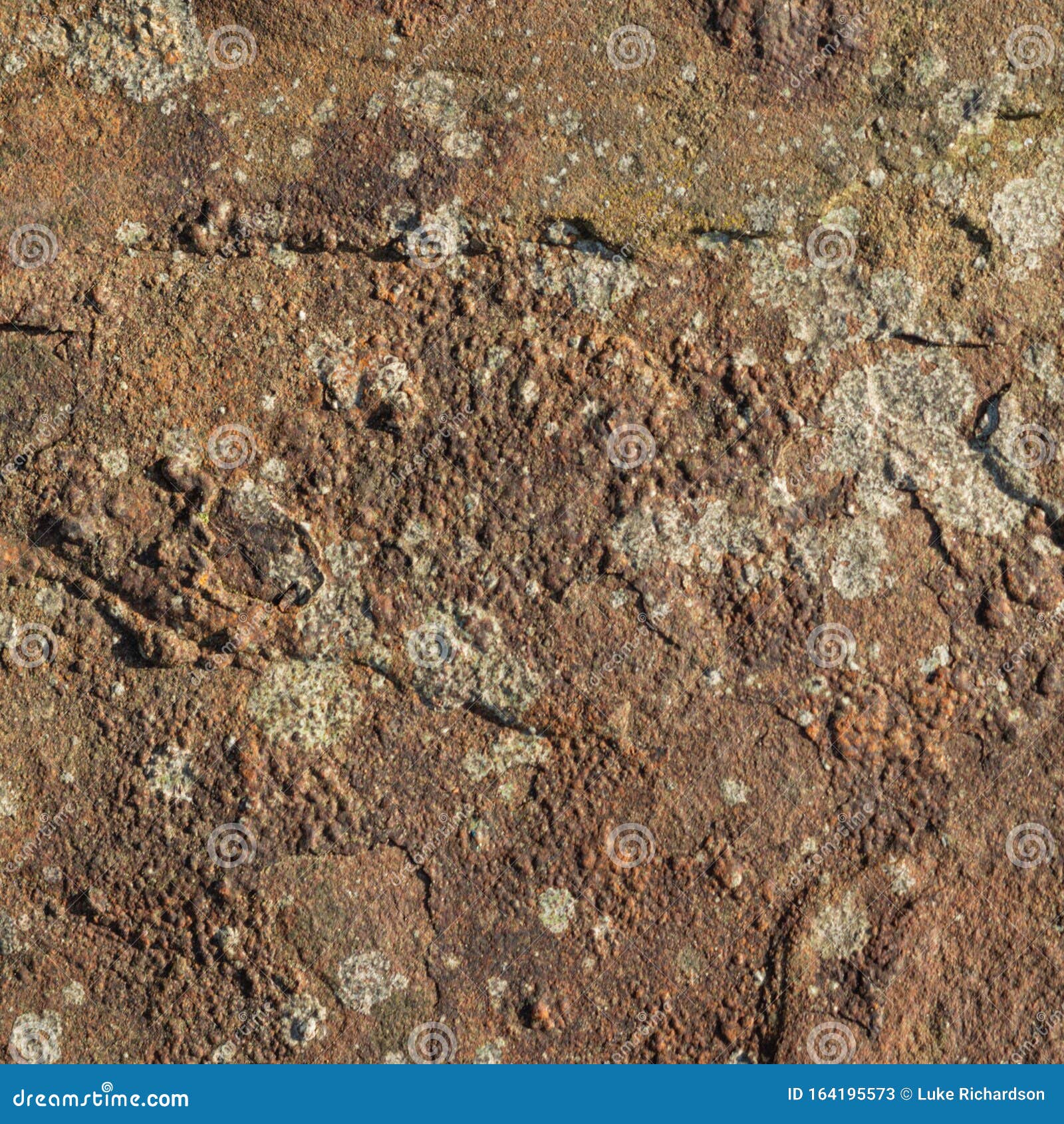 Stone/Rock Surface Texture stock image. Image of detail - 164195573