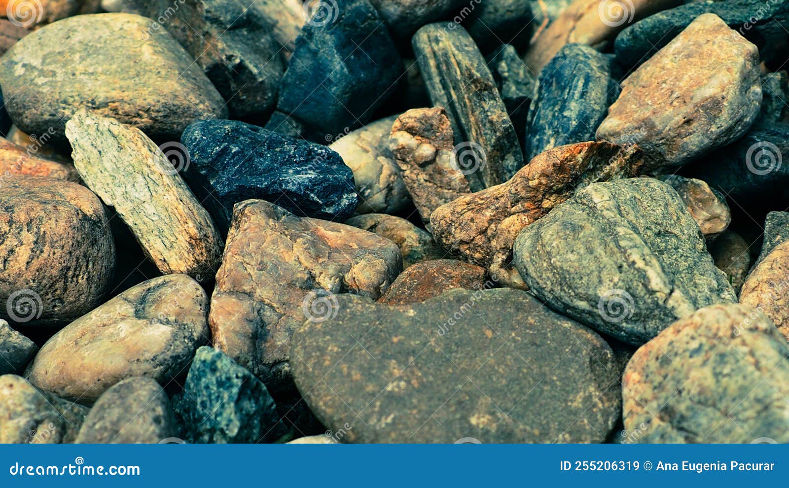 Stone and Rocks Details from a Riverbed Stock Image - Image of water ...