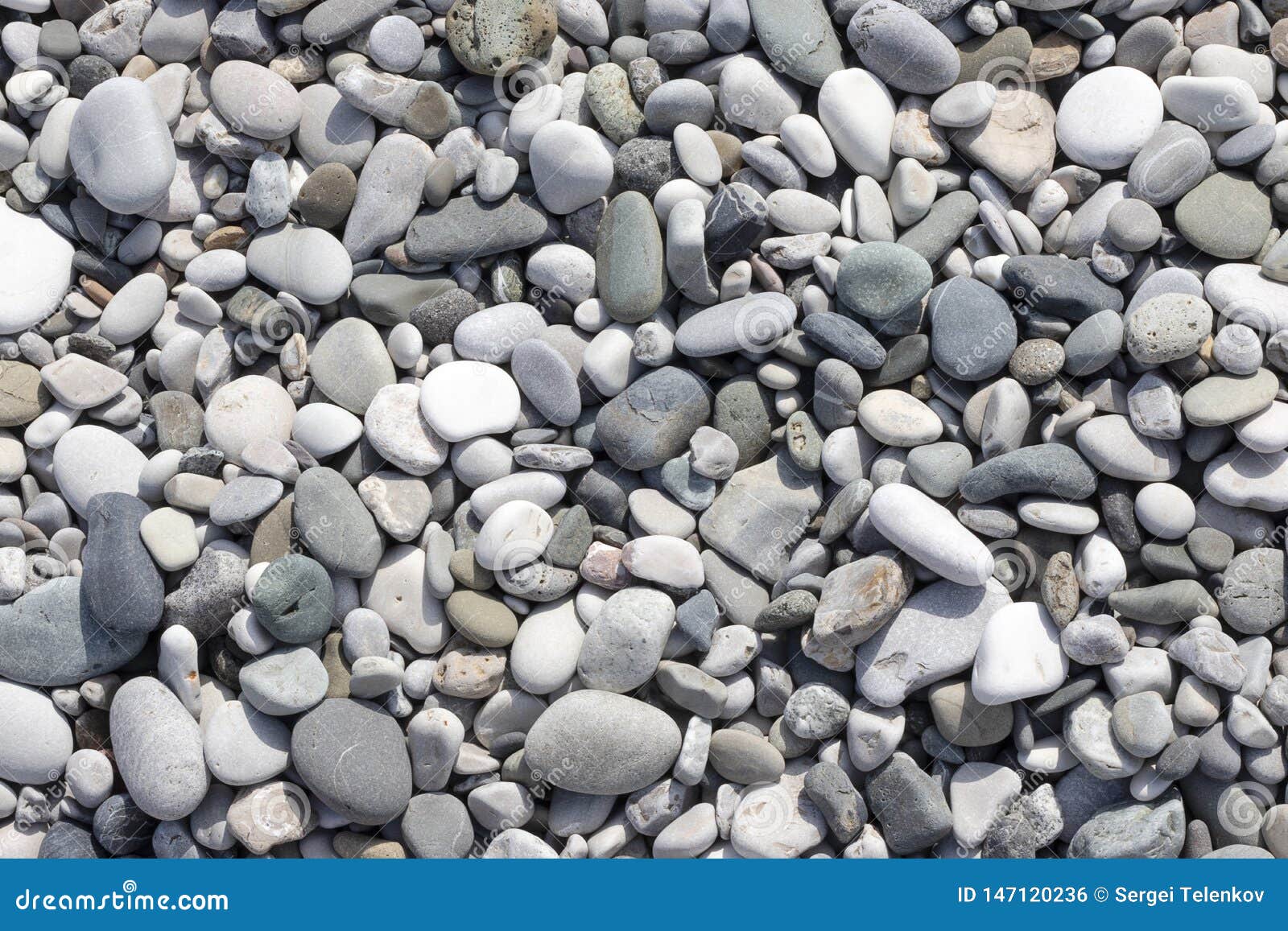 Stone Round Sea Multi-colored. Sea Pebbles Texture, Top Closeup Stock ...