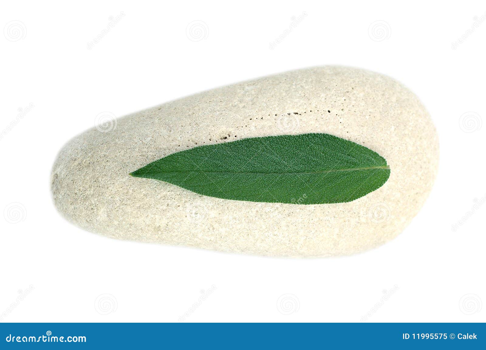Stone and sage stock image. Image of aroma, spice, polished - 11995575