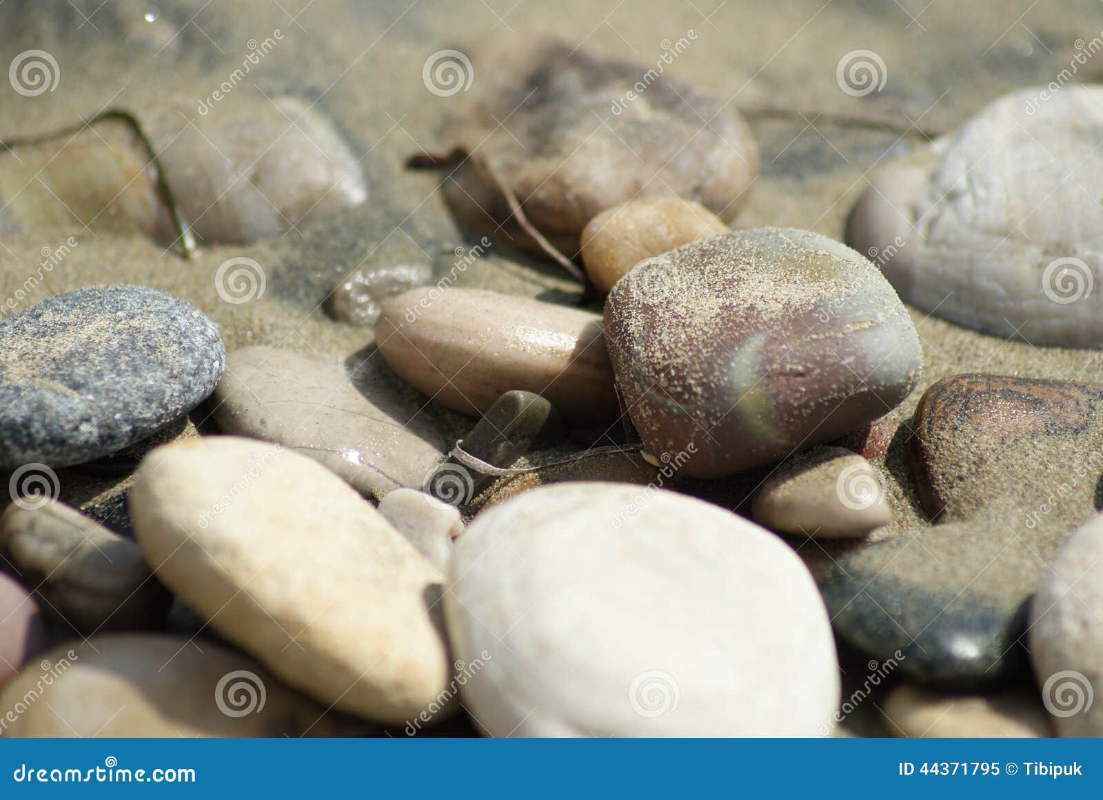 Stone in the sand stock image. Image of stones, stone - 44371795