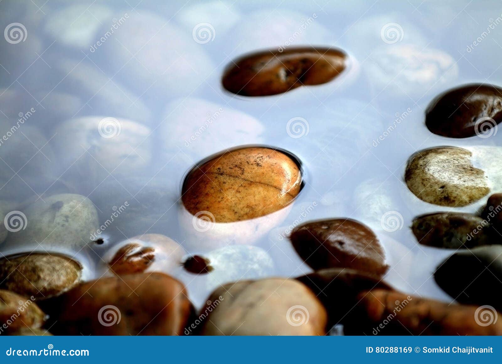 The Stone Sank in the Water on the Water. Stock Image - Image of jungle ...