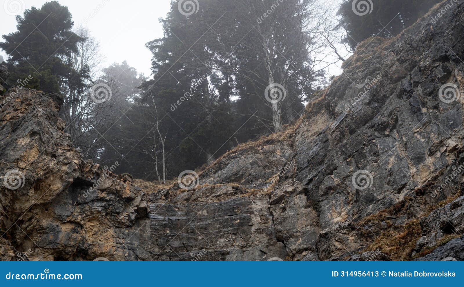 .Stone Scale Background - a Textured Surface of Various-sized Stones ...