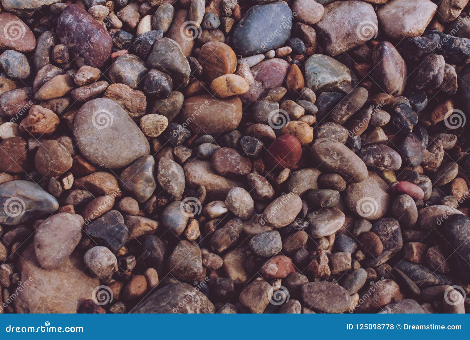 Stone sea shore stock photo. Image of lies, lake, bottom - 125098778