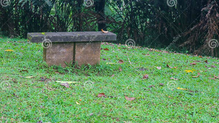 Stone Seats Set in Green Grass and Trees in the Background Stock Photo ...