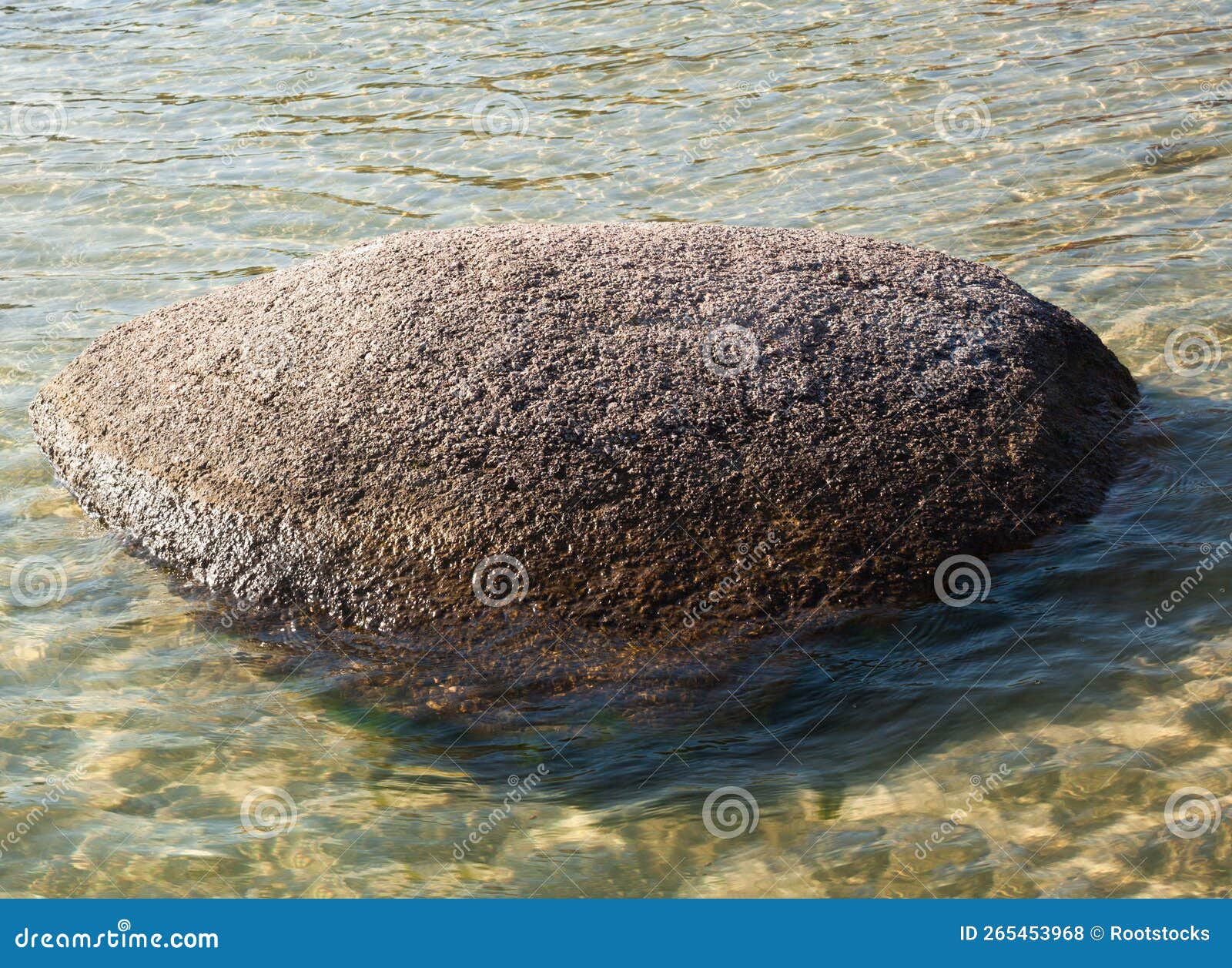 Stone in shallow water stock photo. Image of background - 265453968