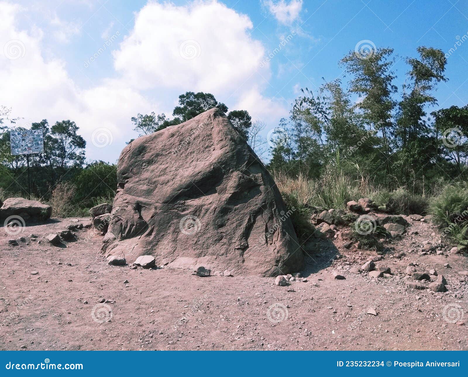 The Stone with the Shape of an Alien Face Comes from the Vomit of Mount ...