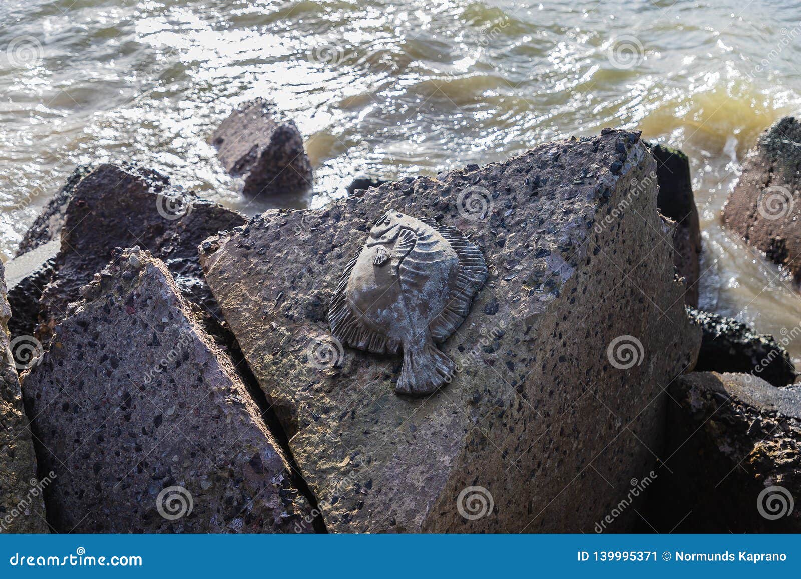 Stone-shaped cement fish stock image. Image of rock - 139995371