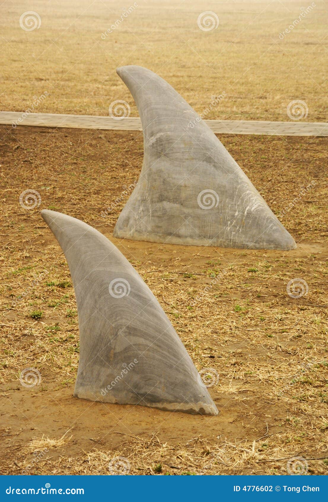 Stone shark fin in a park stock photo. Image of risky - 4776602
