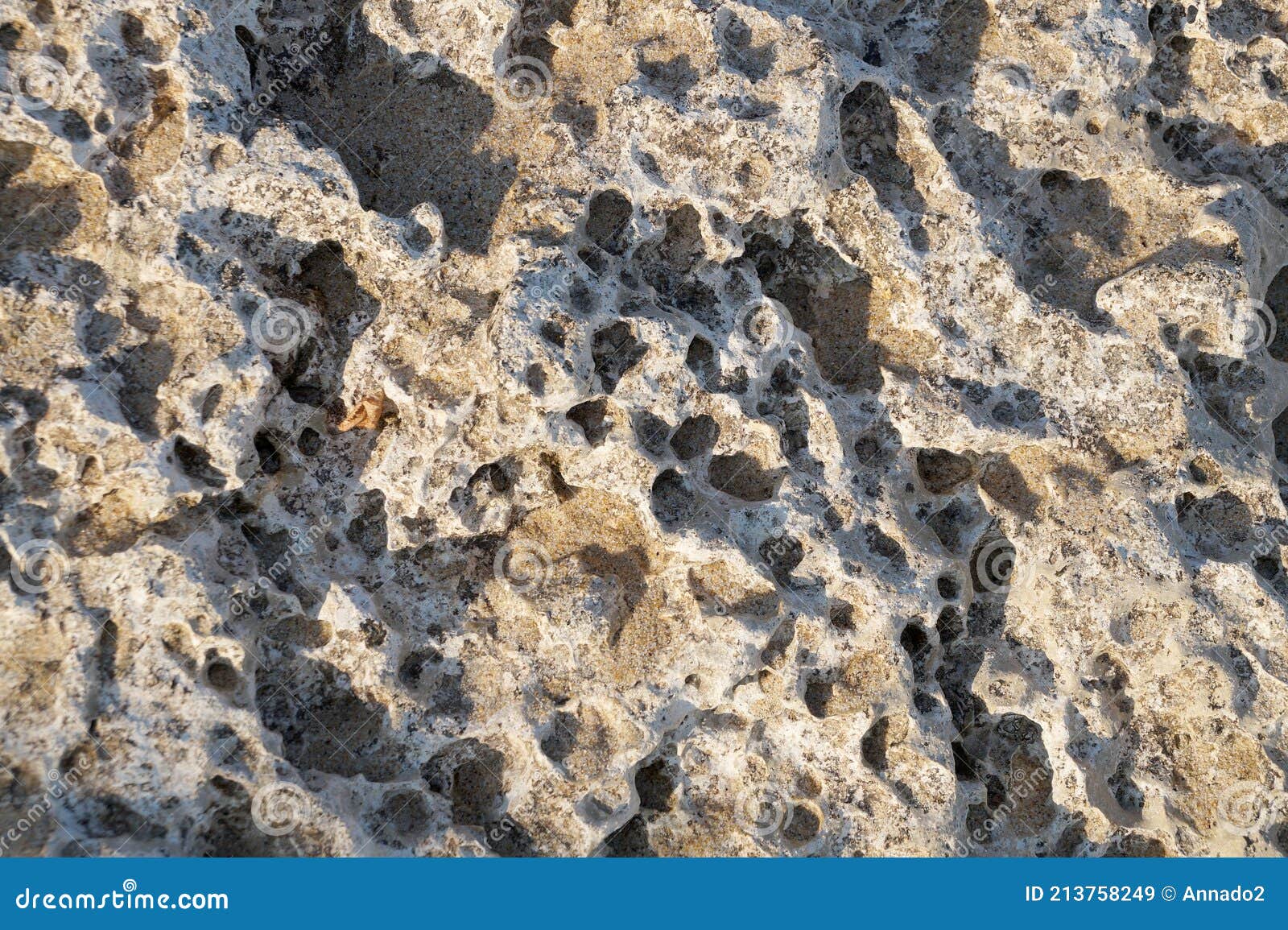 Stone Shell Rock Close-up Texture for Stone Background Stock Image ...
