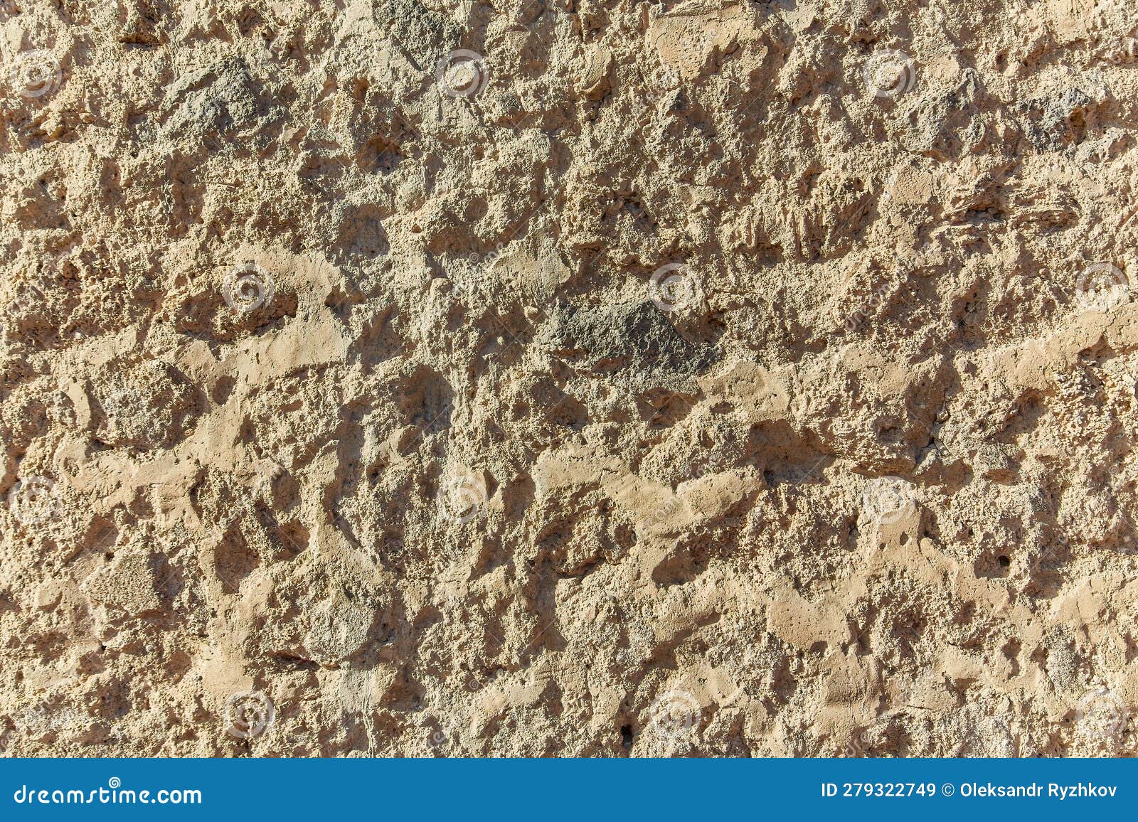 Stone, Shell Rock Texture Background. Texture of Shell Rock Limestone ...