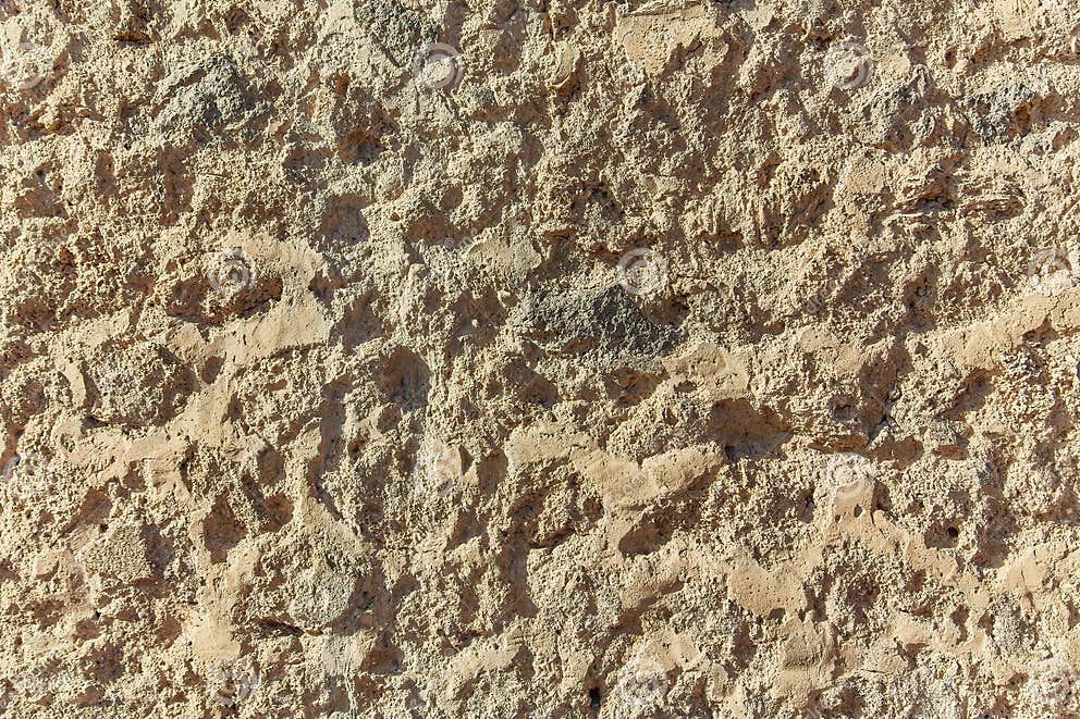 Stone, Shell Rock Texture Background. Texture of Shell Rock Limestone ...