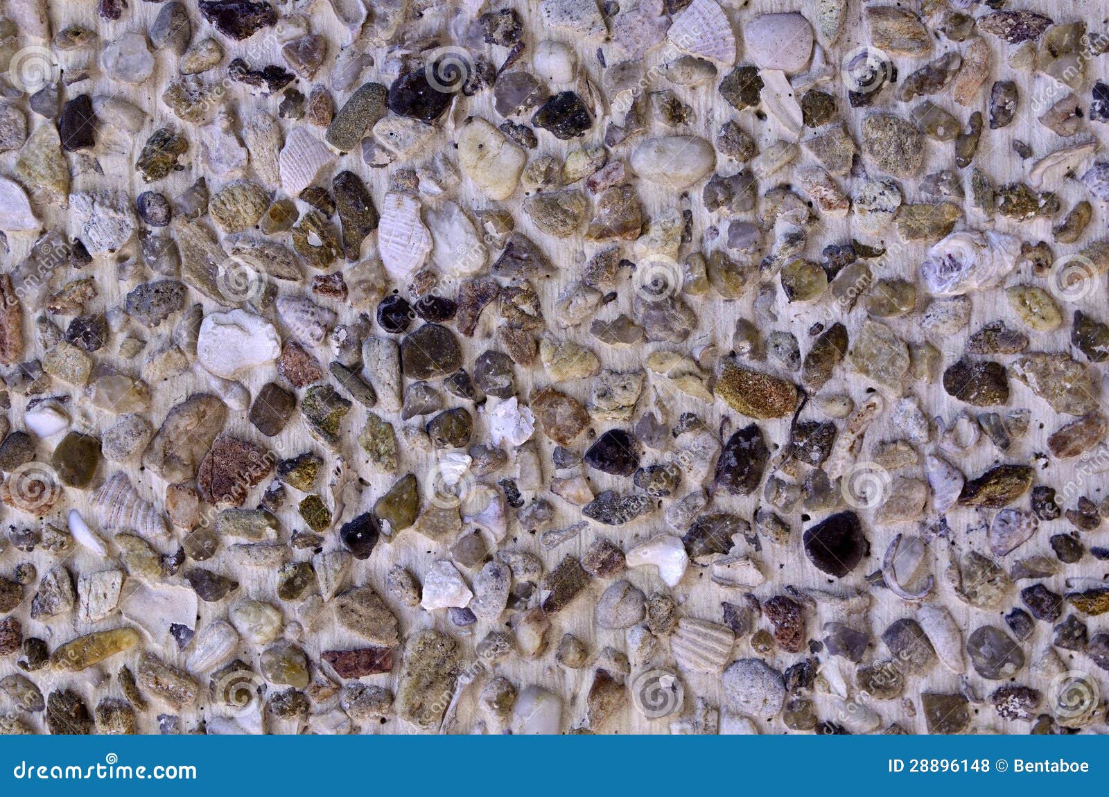 Stone And Shell Wall Texture Royalty-Free Stock Image | CartoonDealer ...