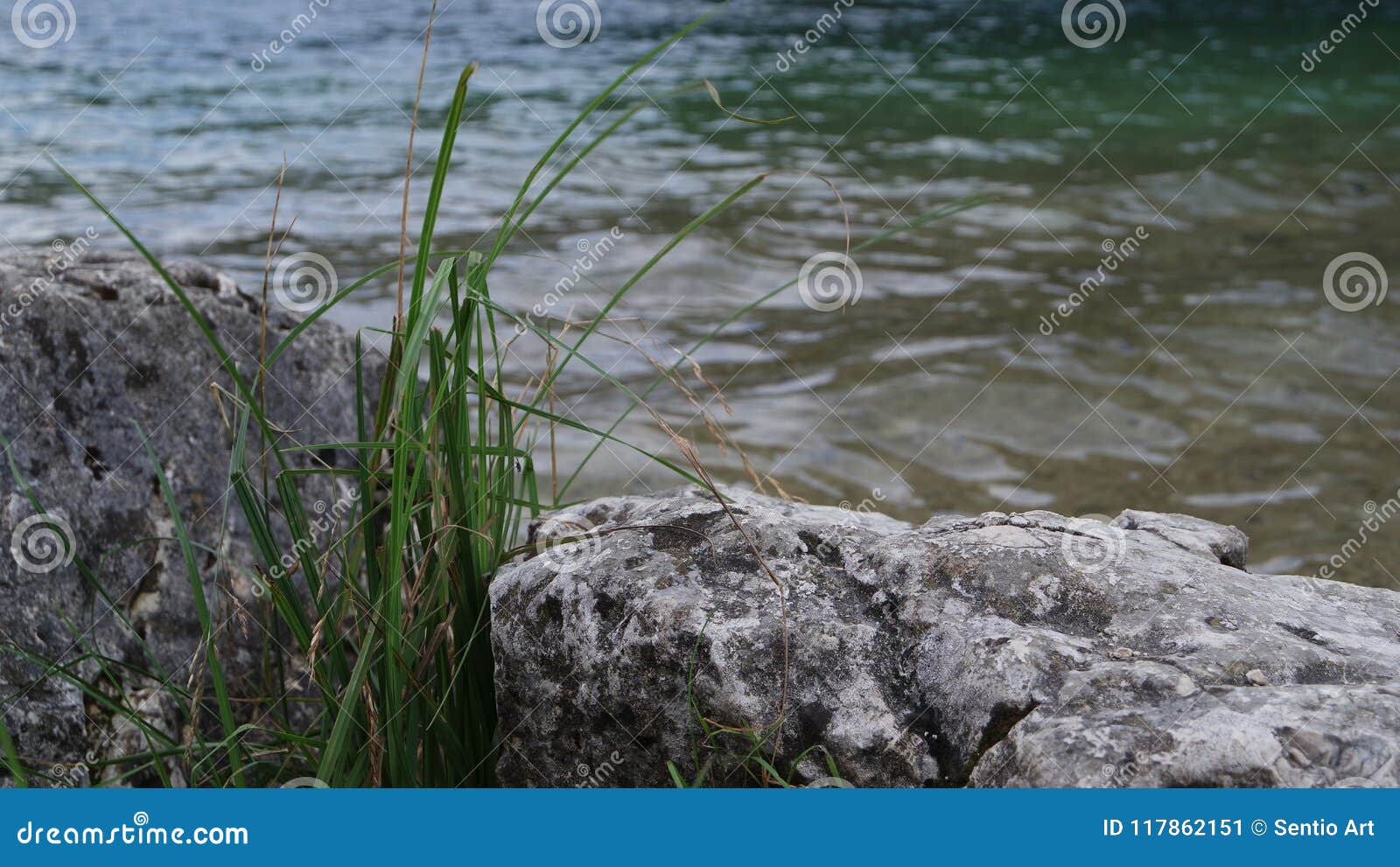 Stone on the Shore of the Lake, Rock Stock Image - Image of green ...