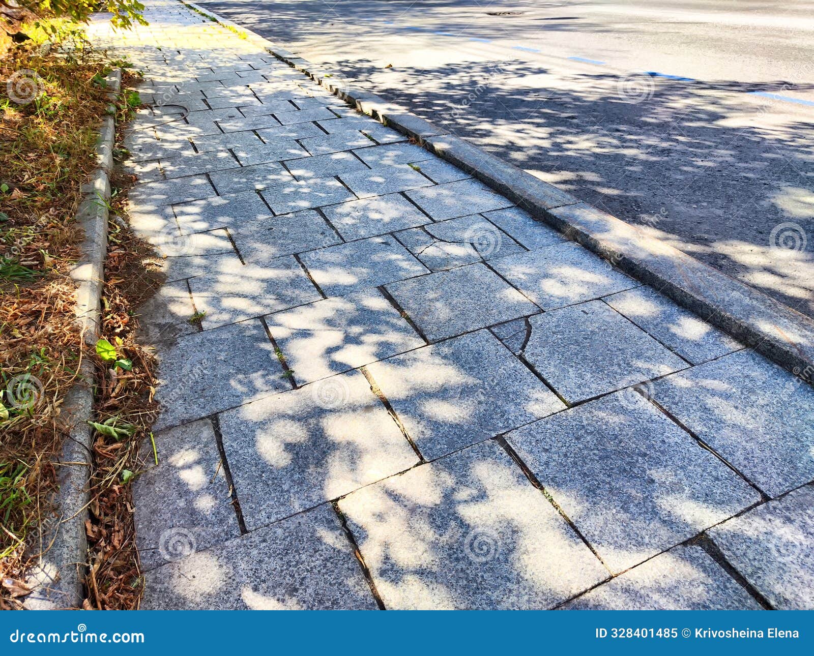 A Stone Sidewalk with Grass Growing between the Tiles and Shadows Cast ...