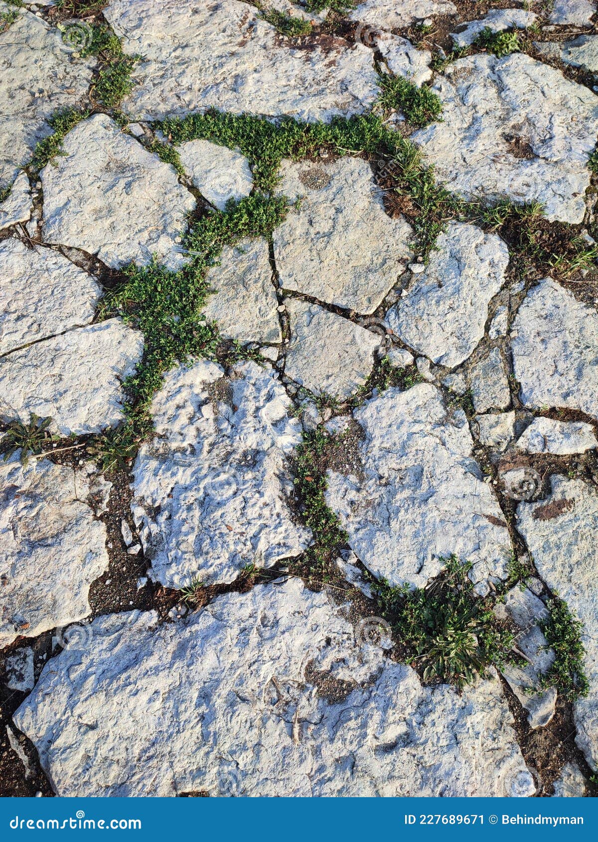 Stone sideway vertical stock image. Image of branch - 227689671