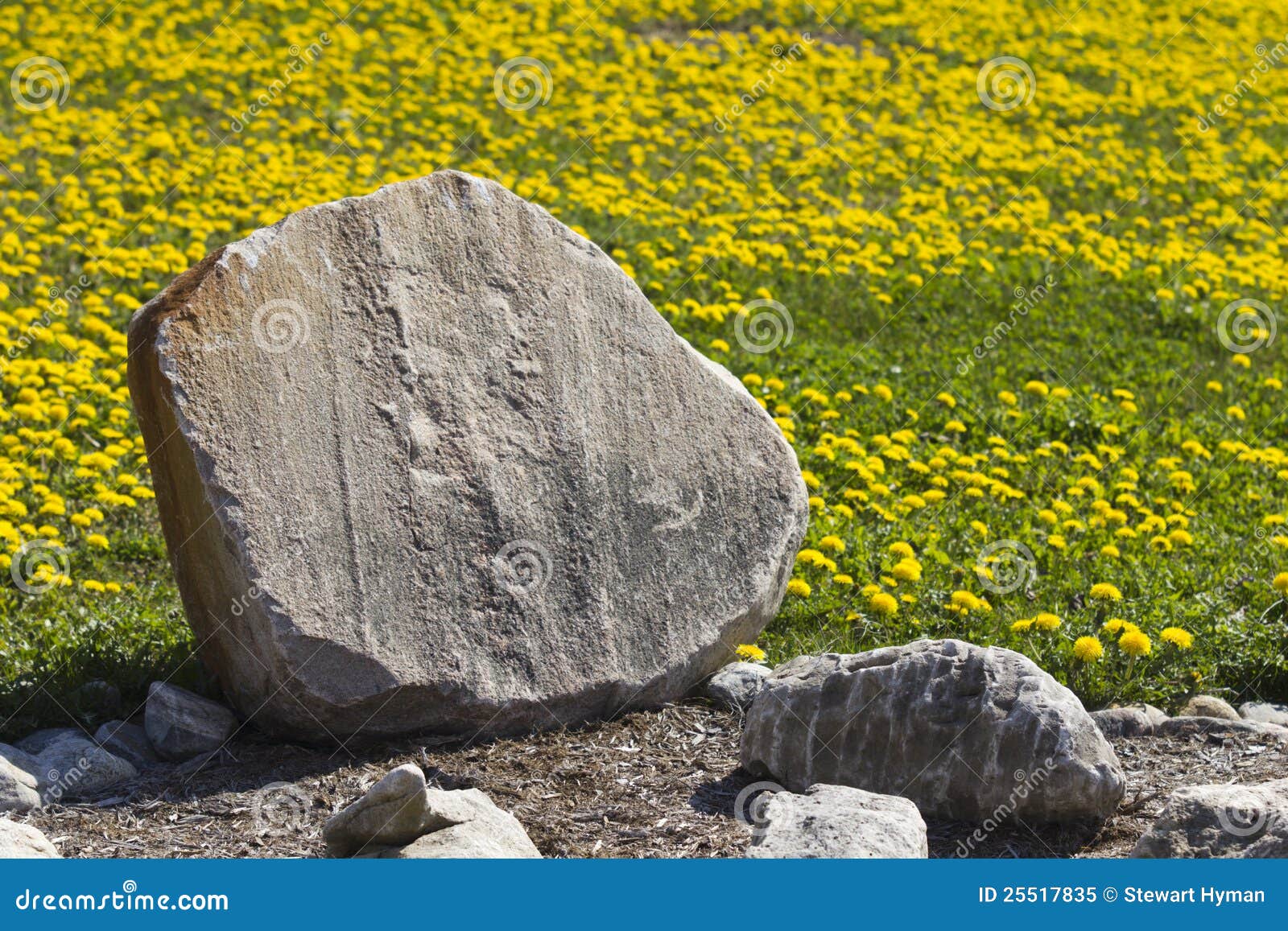 Stone sign stock image. Image of summer, field, blank - 25517835