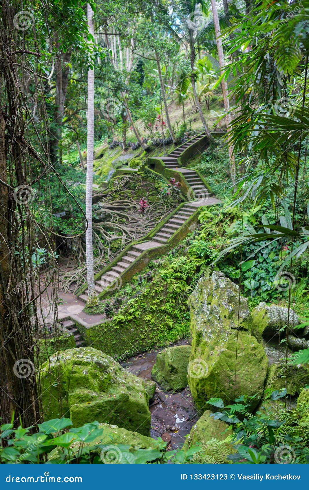 Stone Slab Stairs Up a Small Hill Under Green Tree Stock Image - Image ...
