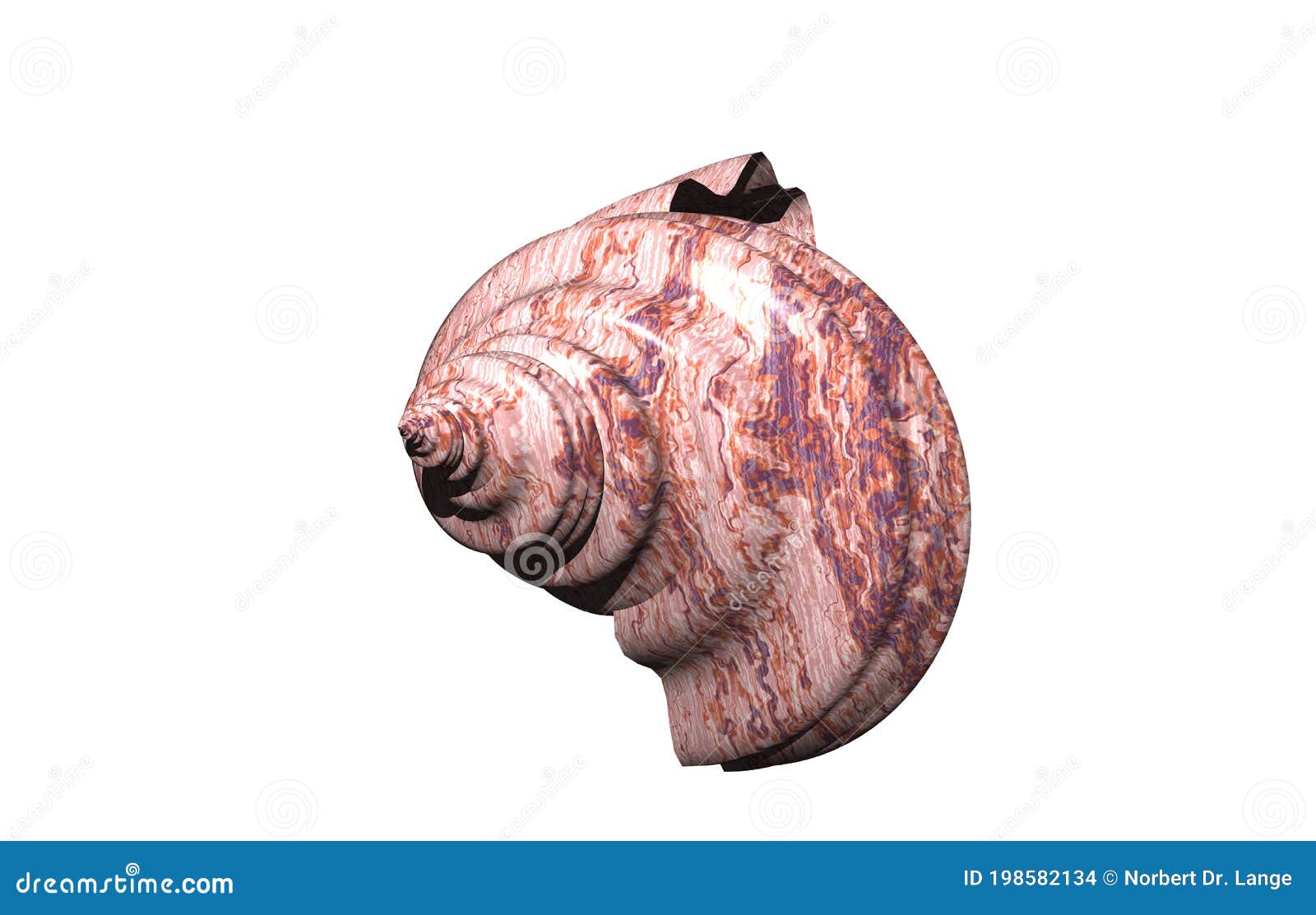 Stone spiral snail shells stock illustration. Illustration of shell ...