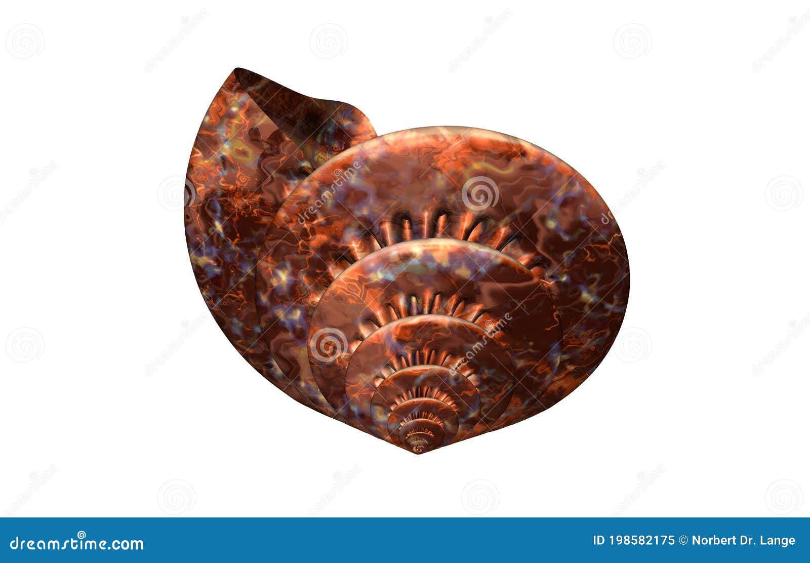 Stone spiral snail shells stock illustration. Illustration of limestone ...