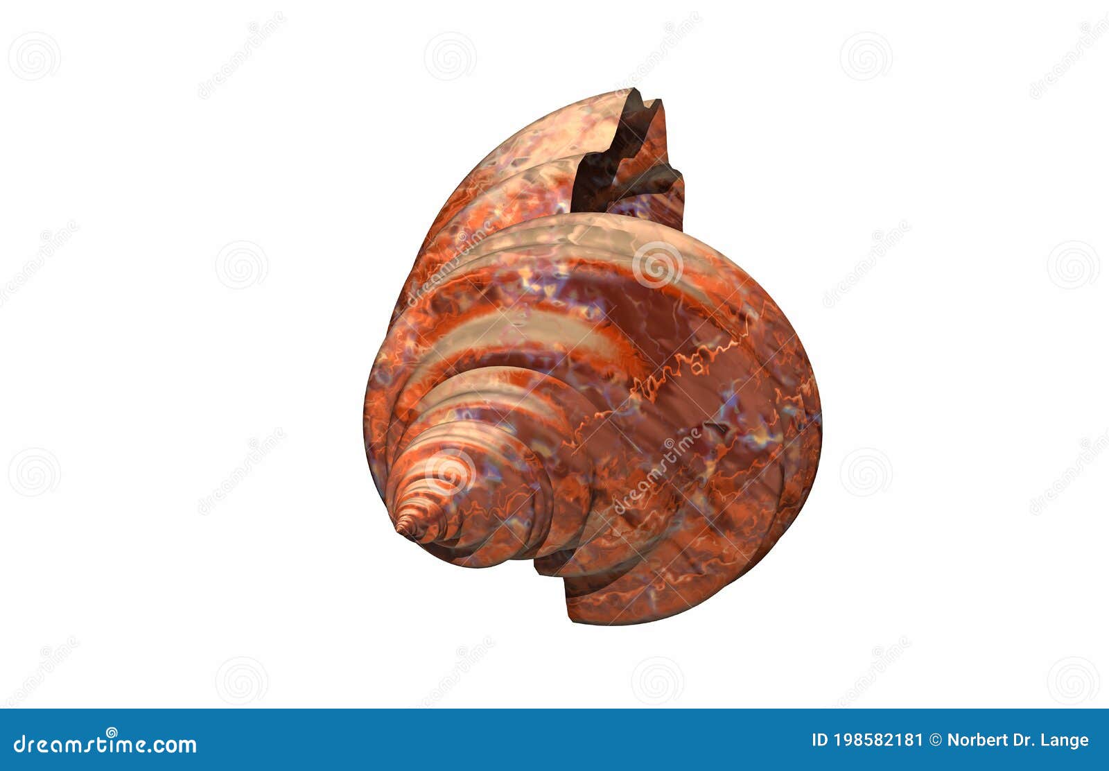 Stone spiral snail shells stock illustration. Illustration of rotations ...