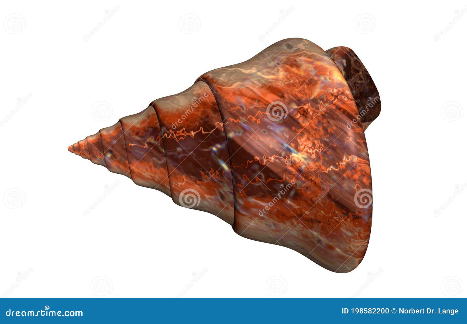 Stone spiral snail shells stock illustration. Illustration of shell ...