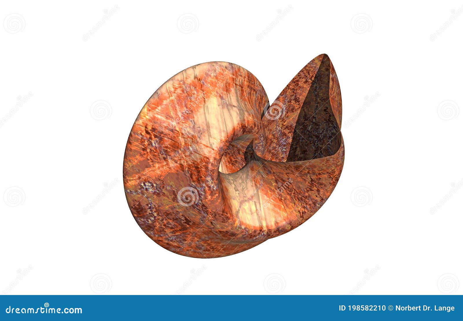 Stone spiral snail shells stock illustration. Illustration of turns ...