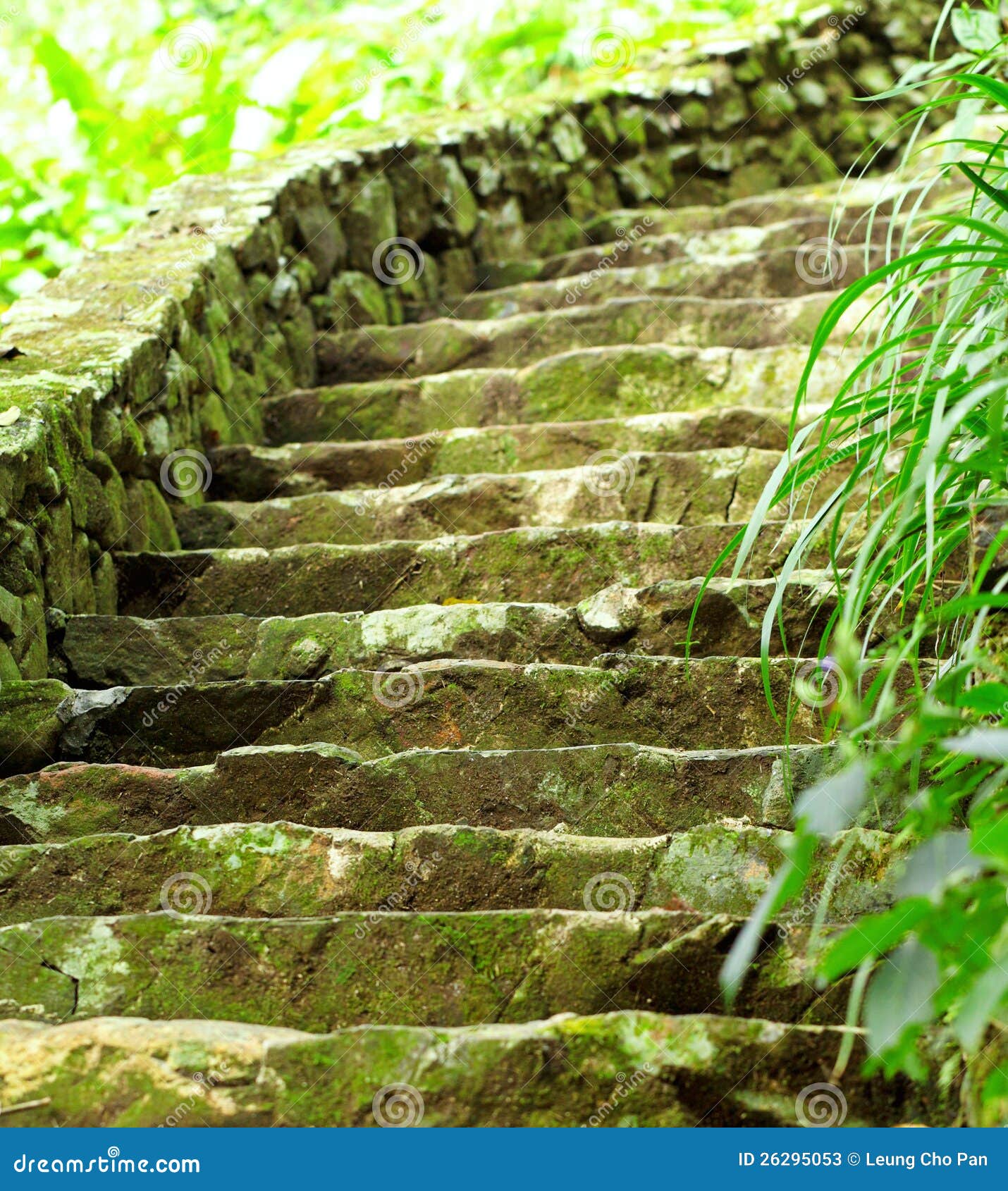 Stone stair outdoor stock image. Image of moss, quiet - 26295053
