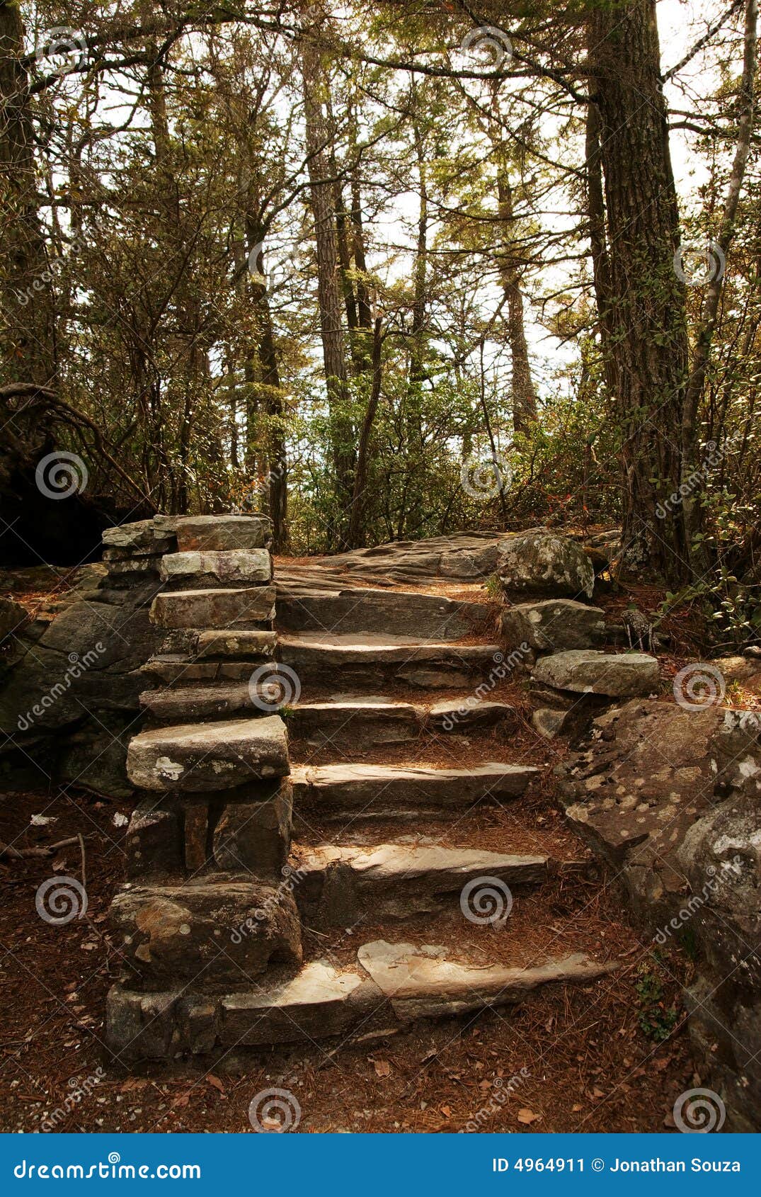 Stone Stair Steps in Nature Forest Stock Image - Image of staircase ...
