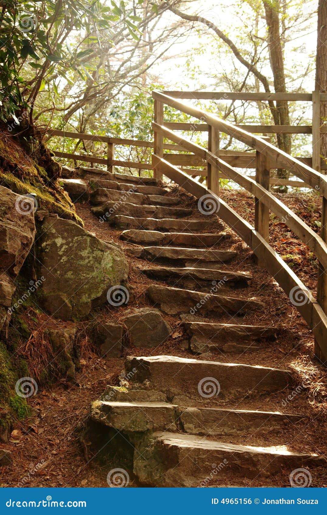 Stone Stair Steps in Nature Forest Stock Photo - Image of environment ...