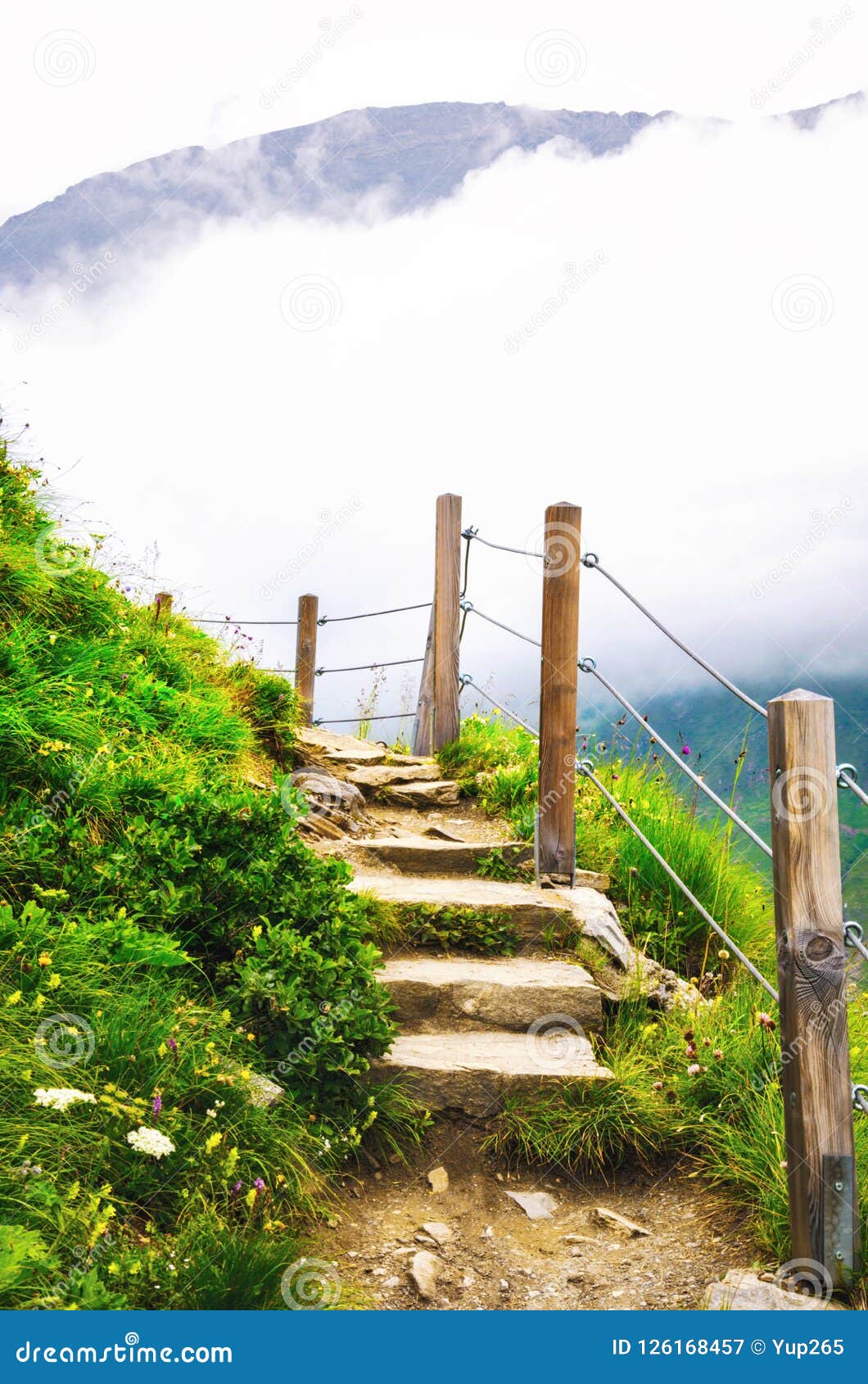 Stone Stair at Thin Way in High Mountains Stock Image - Image of ...