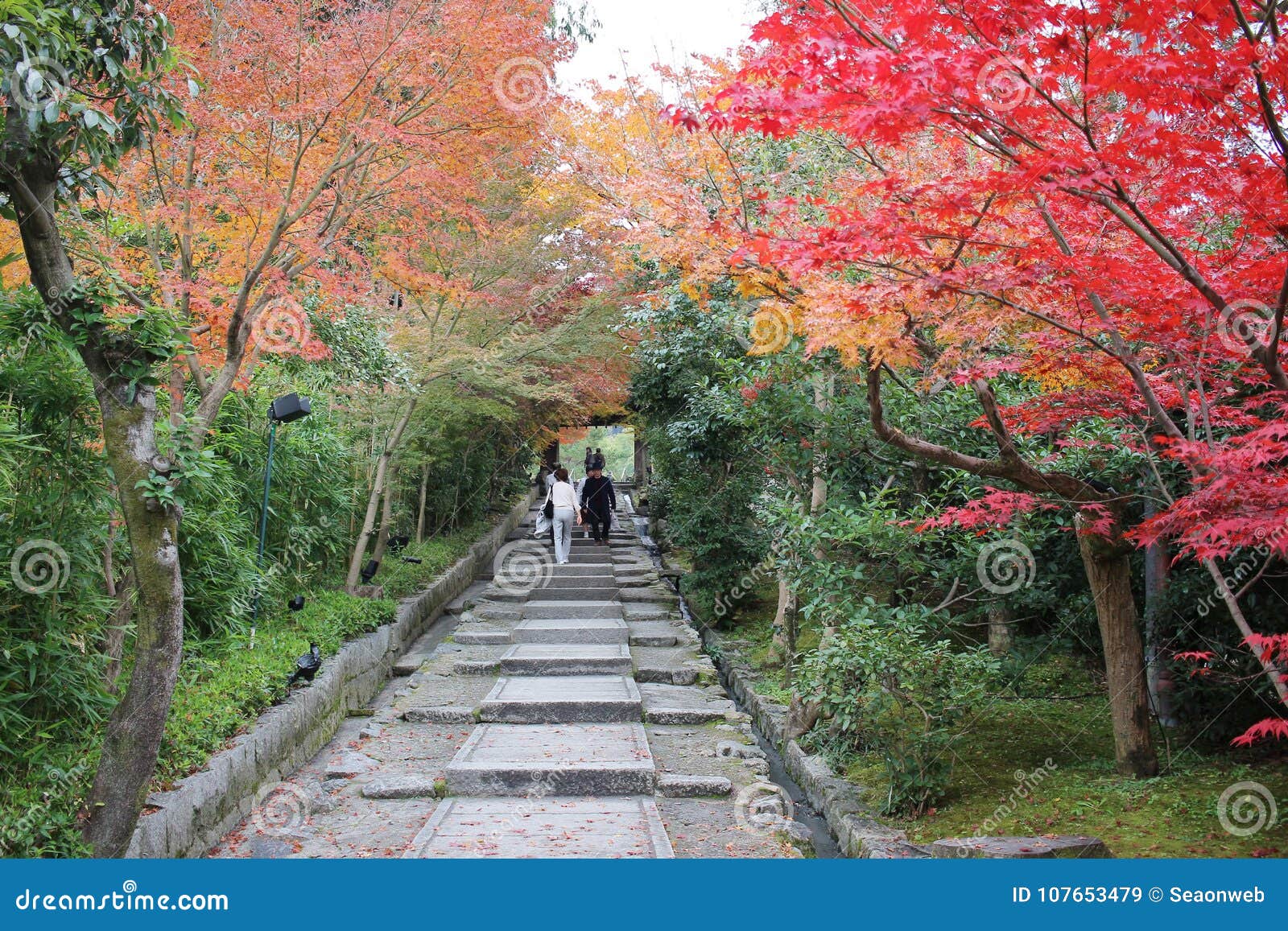 The Stone Stair To Kodai Ji Temple Editorial Stock Image - Image of ...