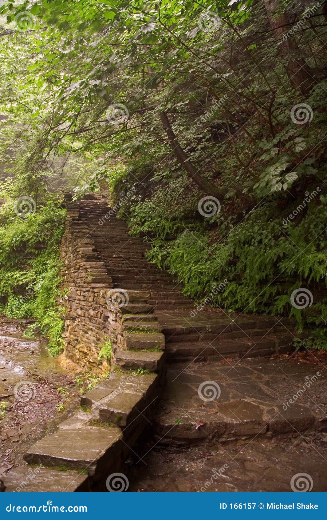 Stone Staircase 2 stock image. Image of ferns, stairway - 166157