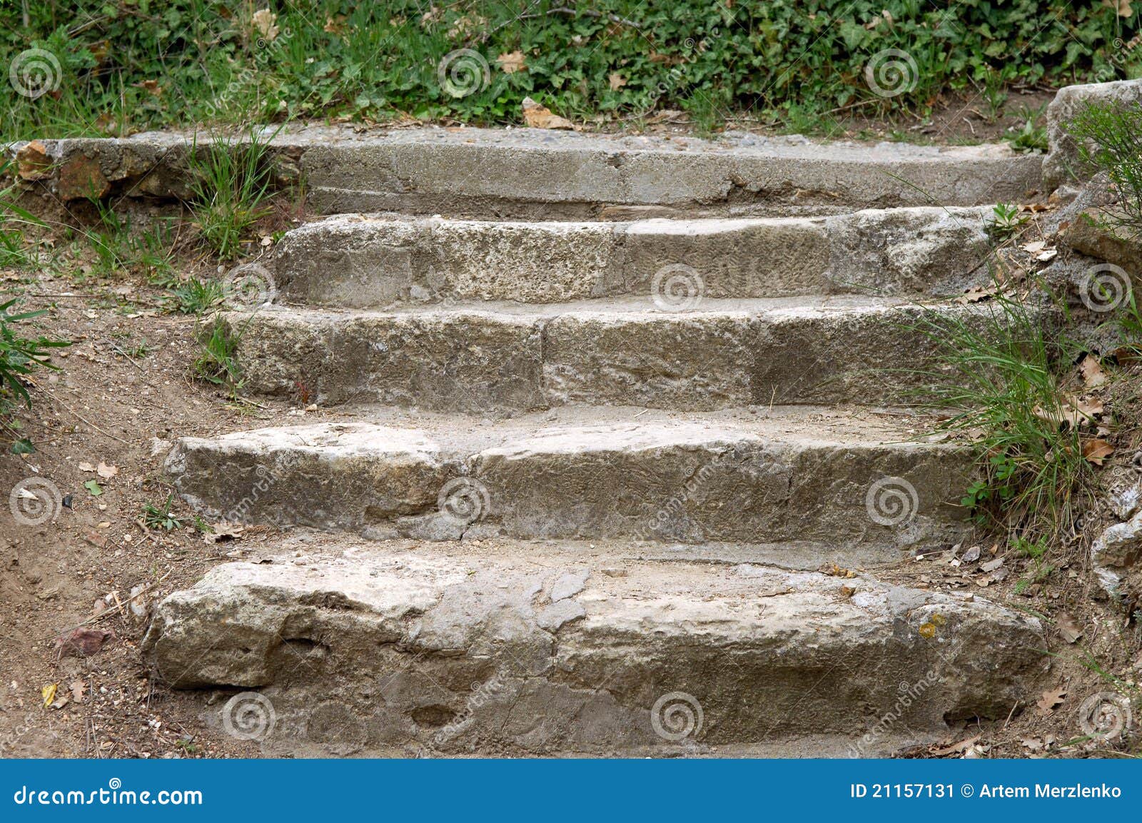 Stone staircase stock image. Image of leaf, ancient, path - 21157131