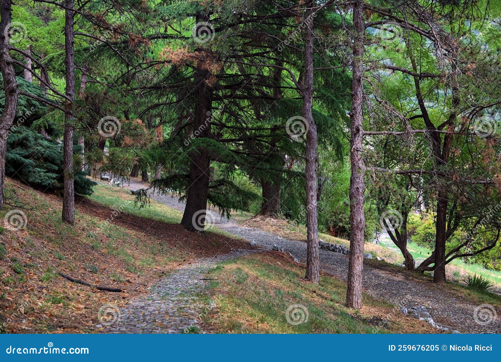 Stone Staircase by the Edge of a Slope Stock Image - Image of baroque ...
