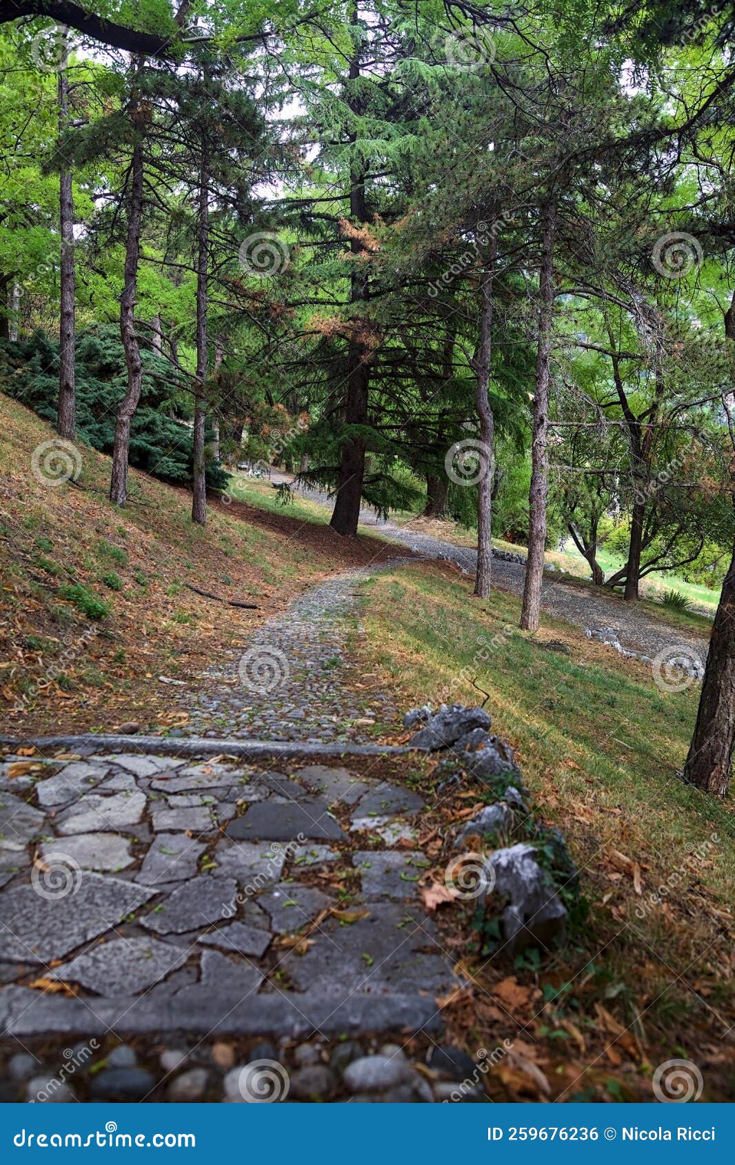 Stone Staircase by the Edge of a Slope Stock Photo - Image of italy ...