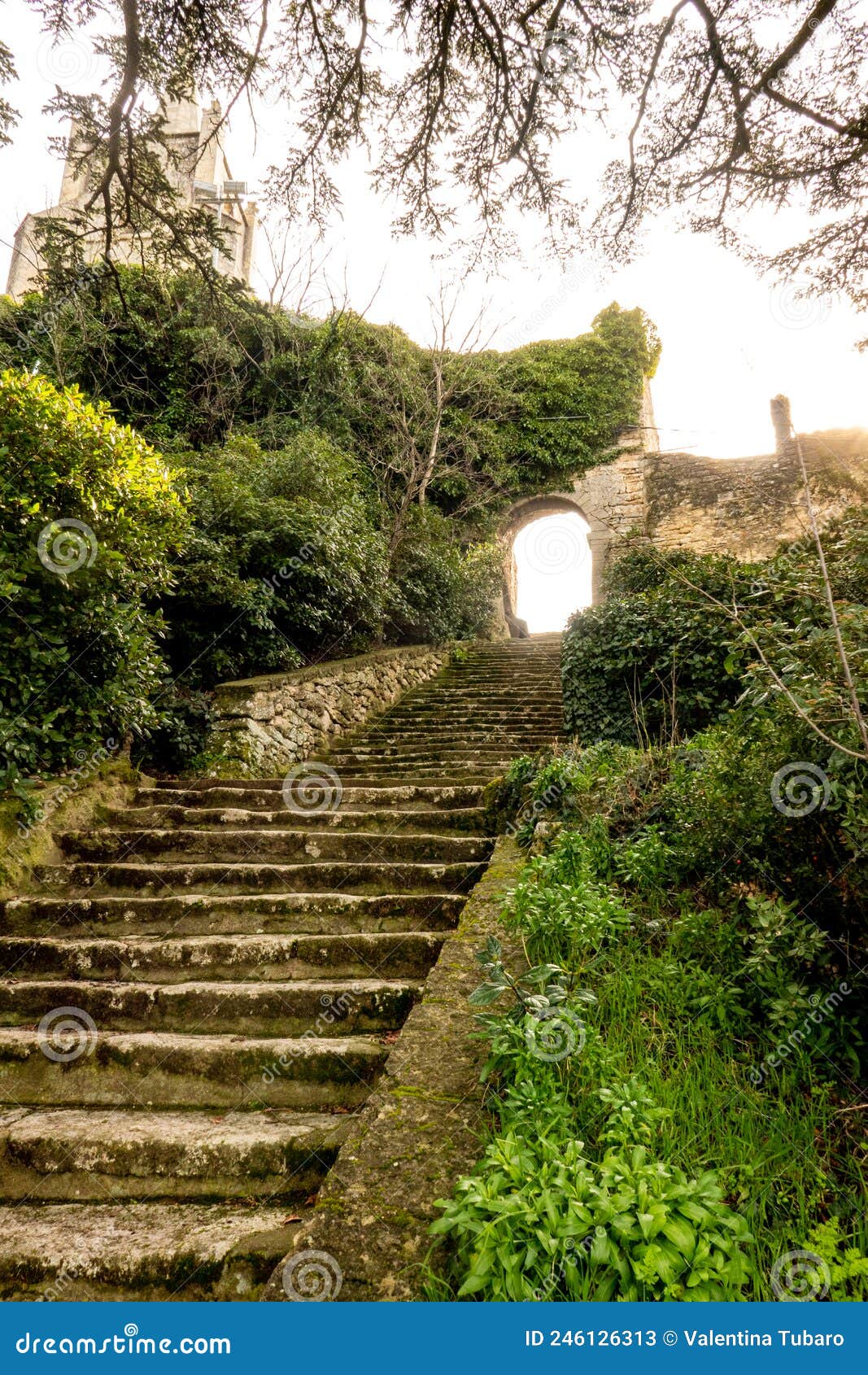 Stone Staircase Going Up To the Ruins Stock Image - Image of provence ...