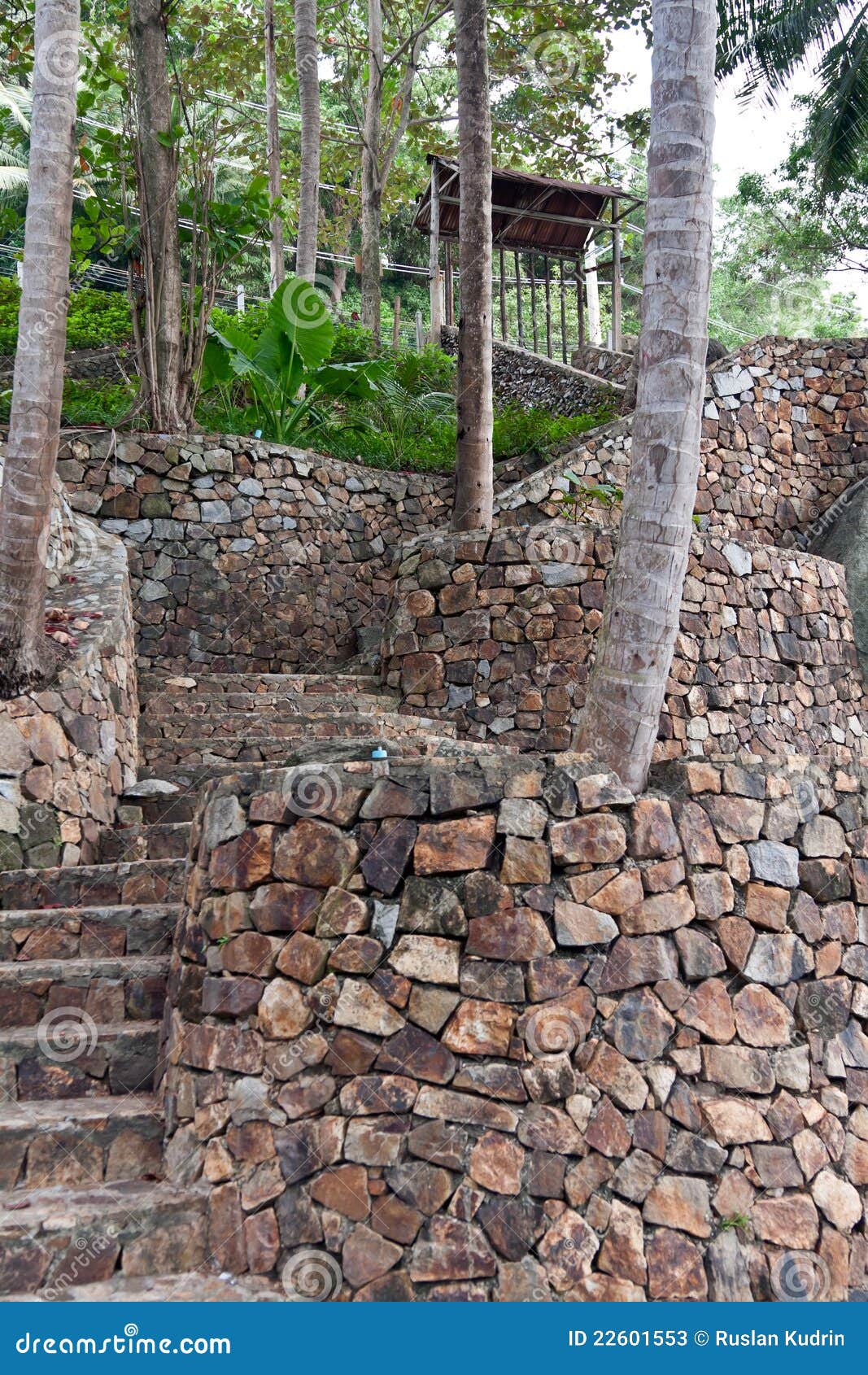 Stone Staircase in the Jungles Stock Image - Image of foliage, path ...